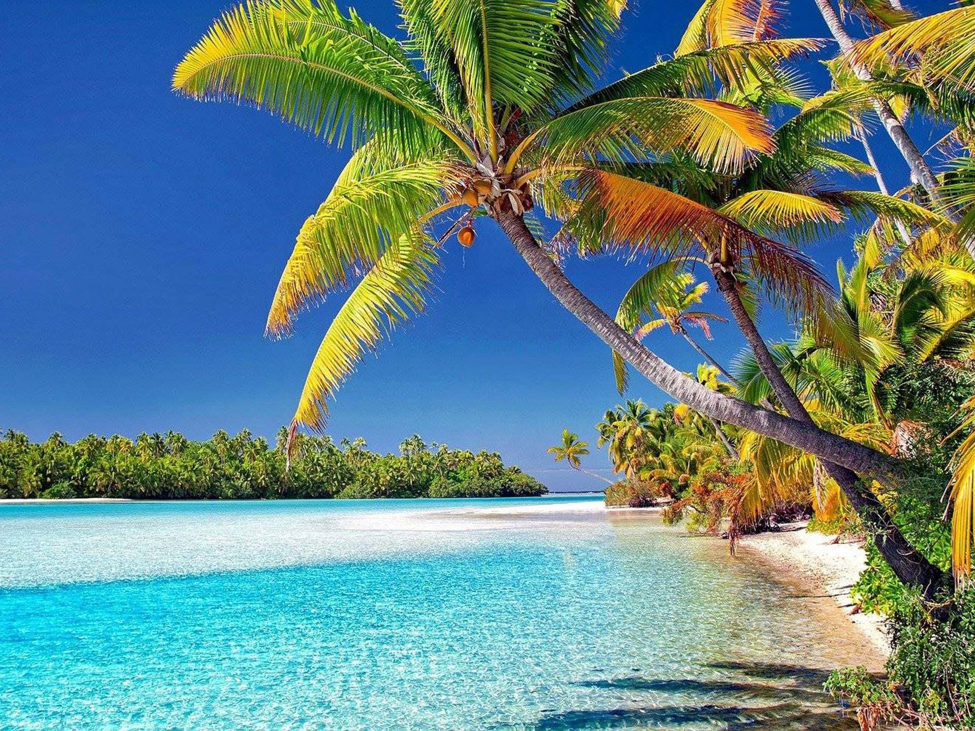 Îles Cook : Préparez votre voyage - Enroutes