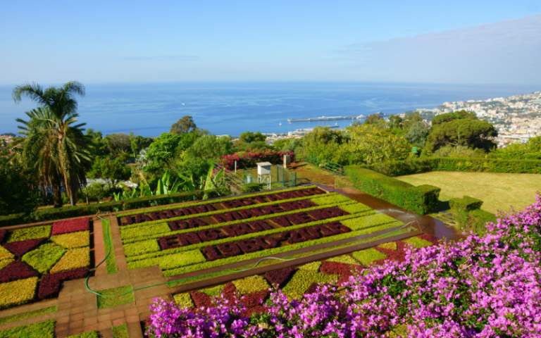 Quand aller à Madère pour voir les fleurs ? » Enroutes